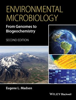 Environmental Microbiology. From Genomes to Biogeochemistry скачать fb2 ...