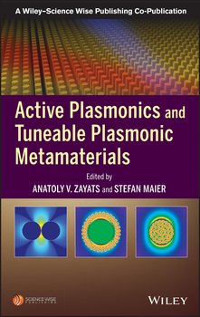 Active Plasmonics and Tuneable Plasmonic Metamaterials скачать fb2, epub, pdf, rtf, txt книгу ...