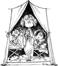 Книга "Camp Ghost-Away" - Delton Judy скачать бесплатно