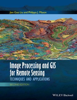 Image Processing and GIS for Remote Sensing. Techniques and Applications скачать fb2, epub, pdf ...