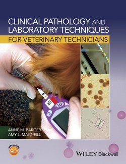 "Clinical Pathology and Laboratory Techniques for Veterinary ...